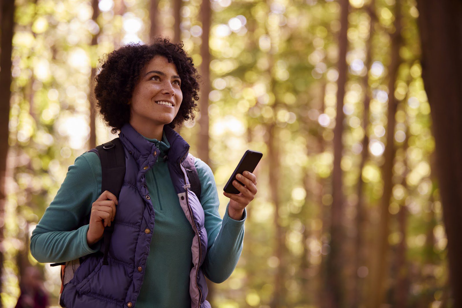 How to Identify a Tree in Alberta: Tips & Tricks from an Arborist ...