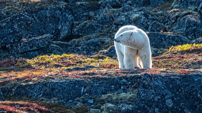 Ullaakkut! A Guide to Inuktitut for Beginners | Adventure Canada