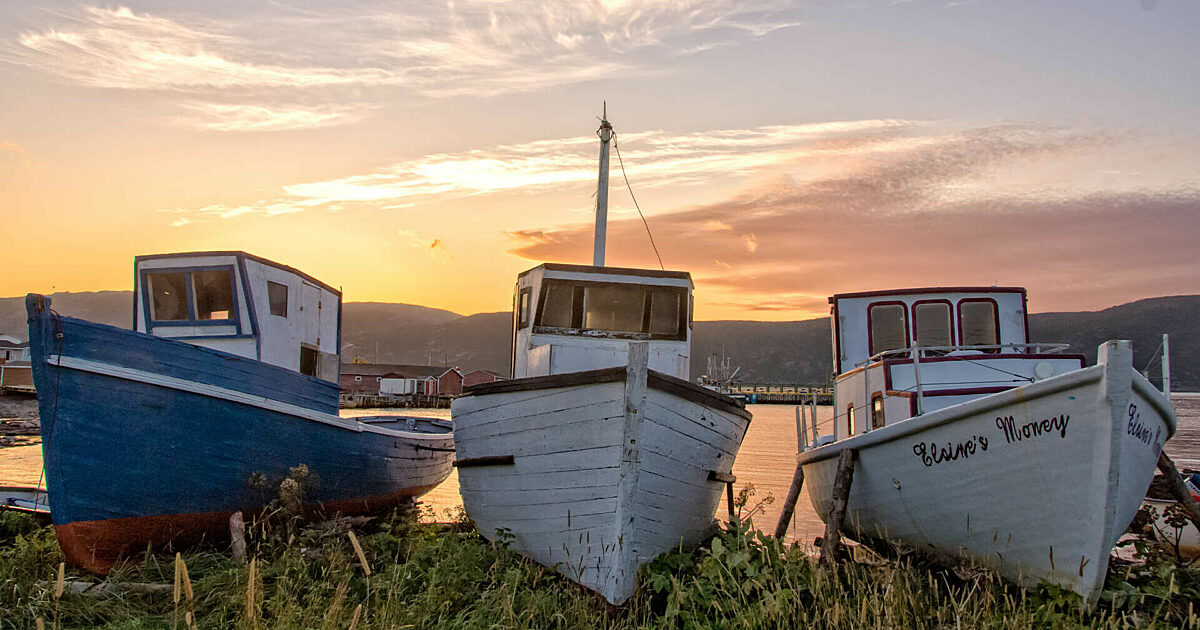 Fall in Love with Newfoundland | Adventure Canada