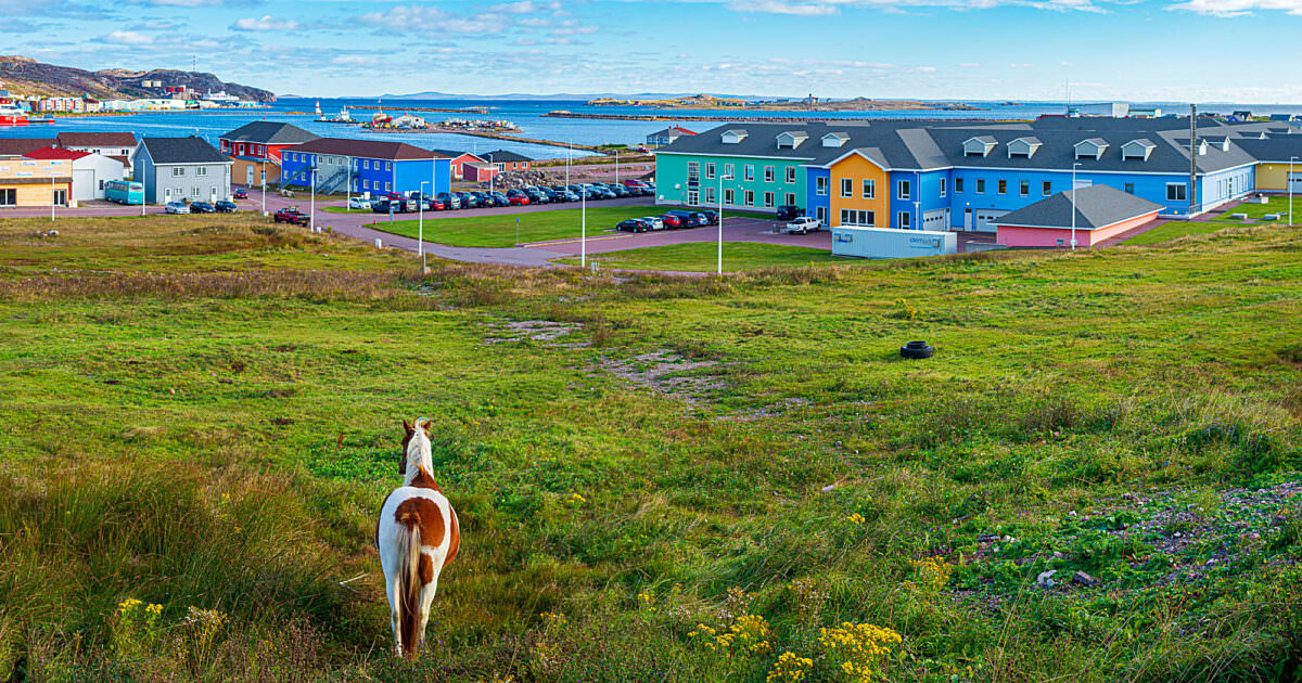 My Favourite Things to Do in Saint-Pierre | Adventure Canada