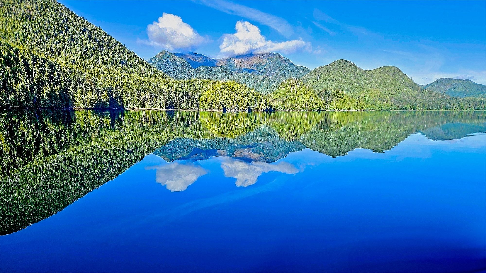 Haida Gwaii: Where Curiosity Meets Connection | Adventure Canada