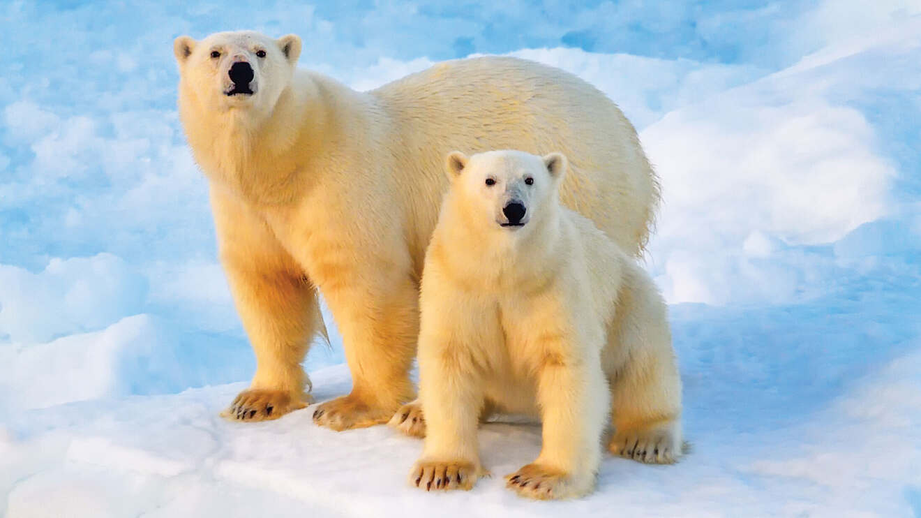 The Nunas: An Introduction to the Four Inuit Homelands in Canada ...