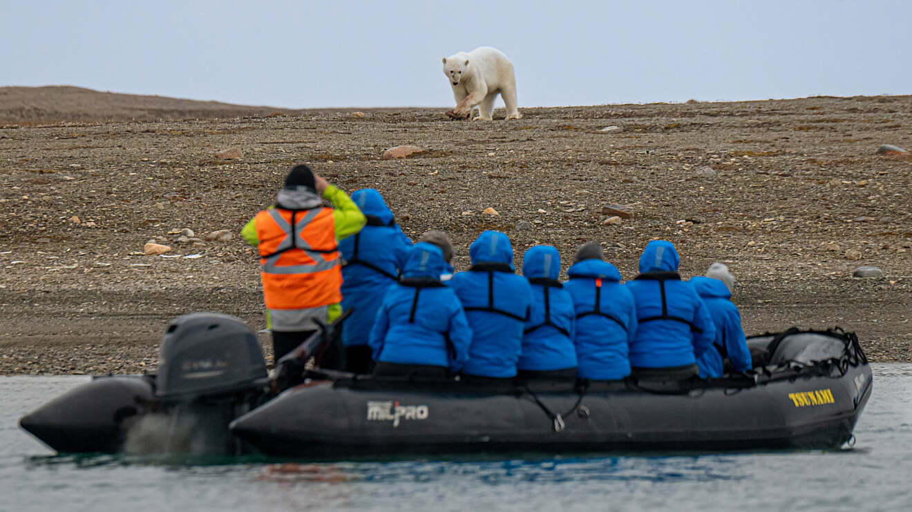 The Nunas: An Introduction to the Four Inuit Homelands in Canada ...