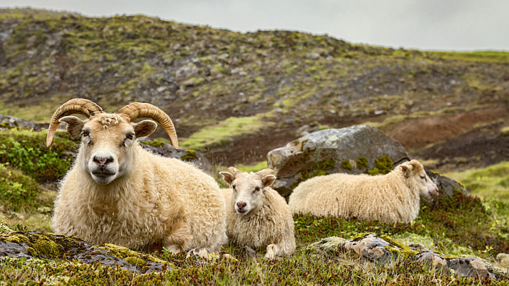 A Political History of the World’s Oldest Democracy | Adventure Canada