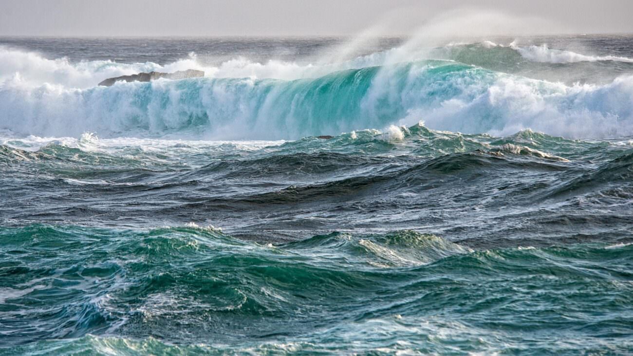 Why Are There No Snakes on the Island of Newfoundland? | Adventure Canada