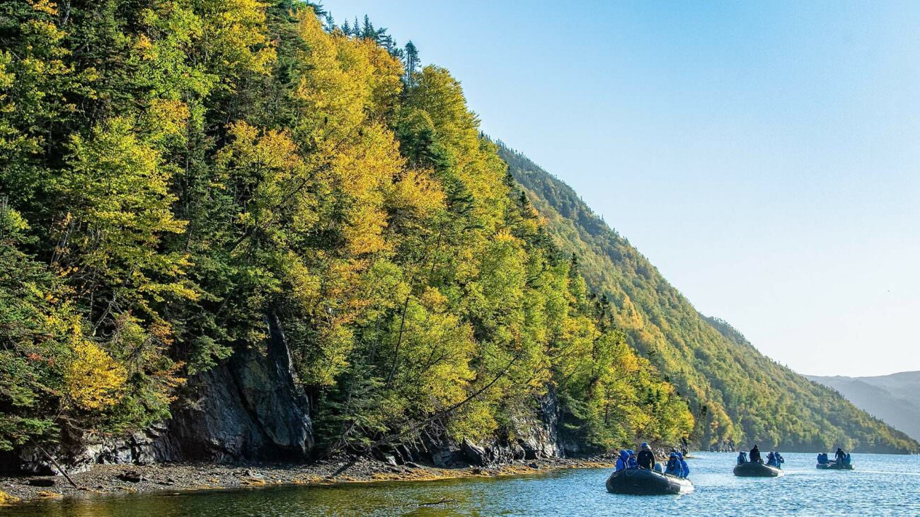 Fall in Love with Newfoundland | Adventure Canada