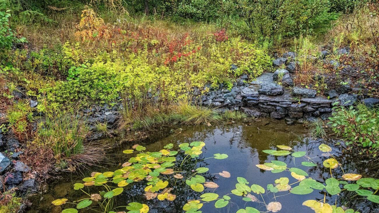 Fall in Love with Newfoundland | Adventure Canada