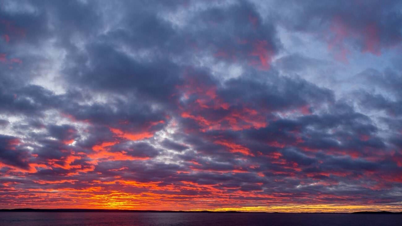 Fall in Love with Newfoundland | Adventure Canada