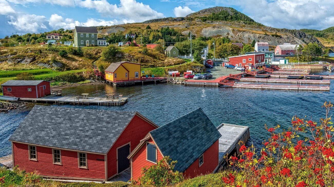 Fall in Love with Newfoundland | Adventure Canada