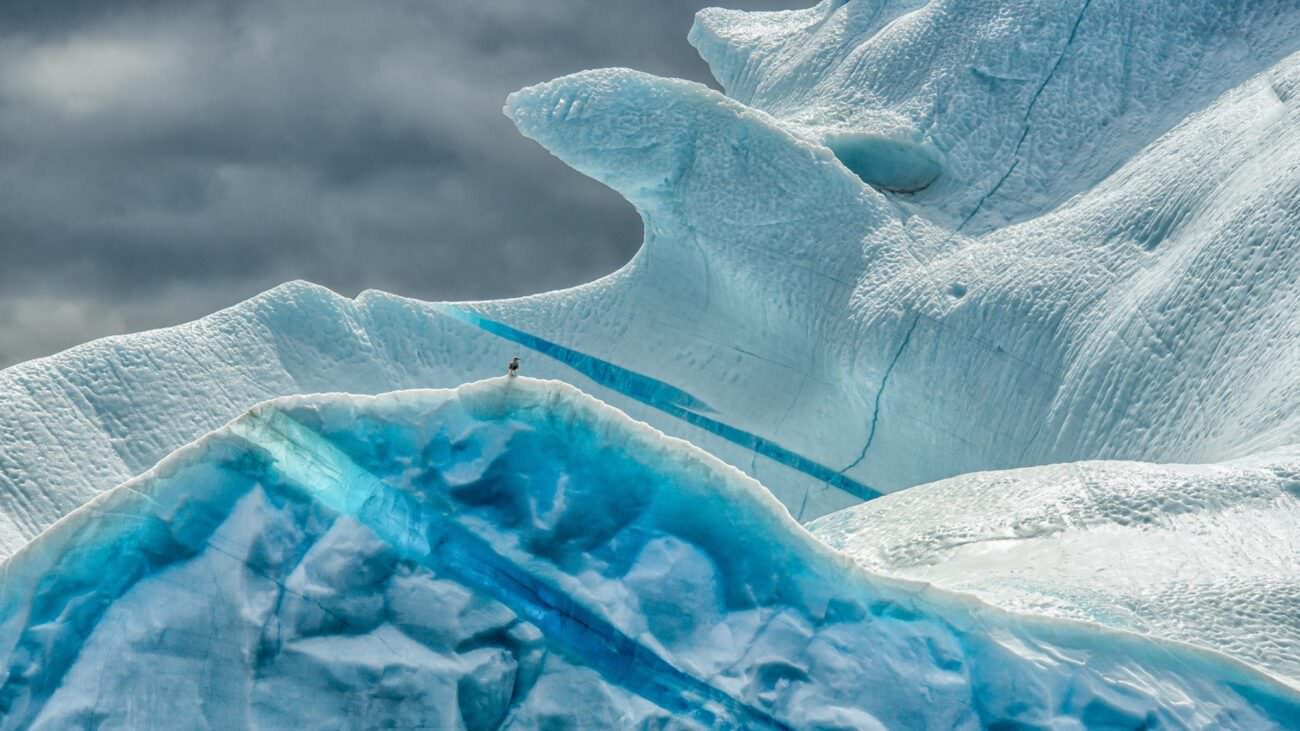 The Way of an Iceberg | Adventure Canada