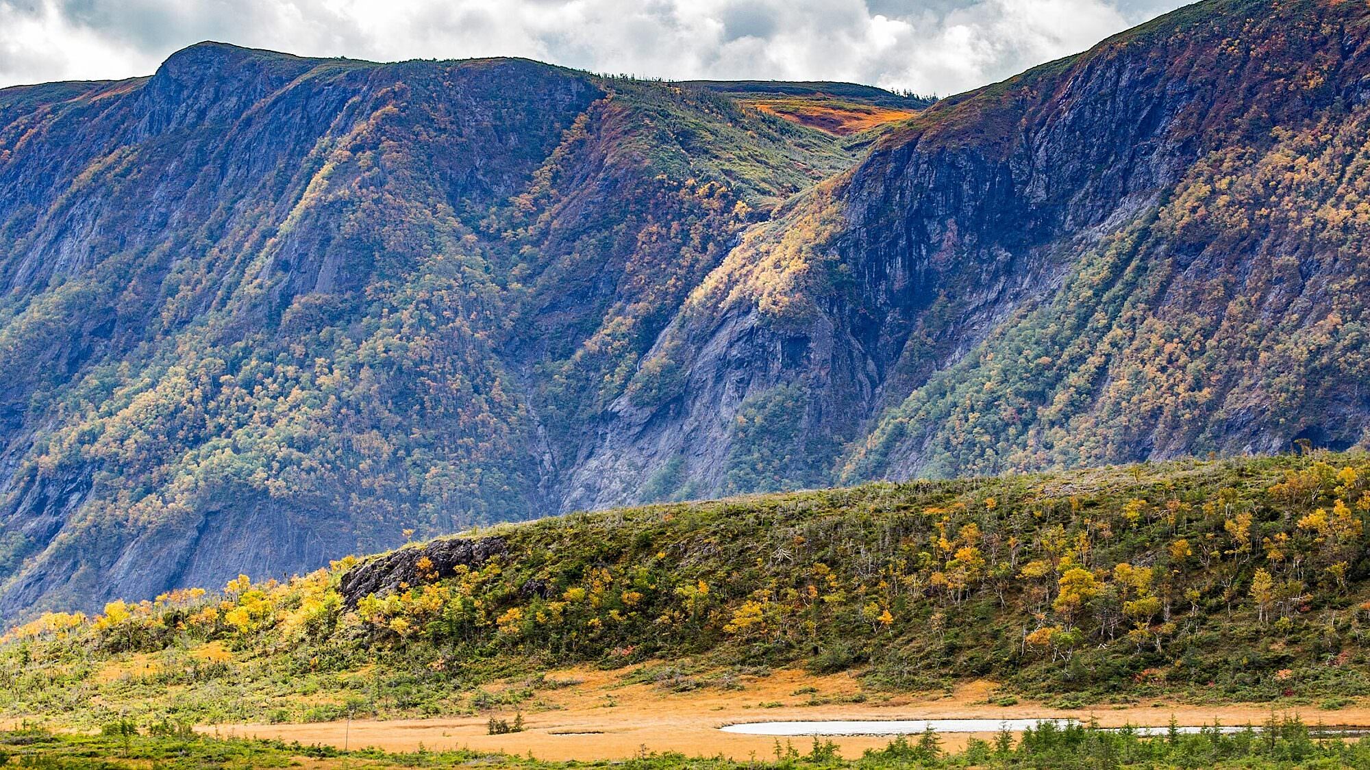 Exploring My Atlantic Home | Adventure Canada