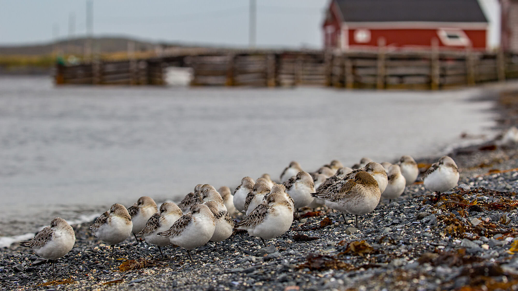 Exploring My Atlantic Home | Adventure Canada
