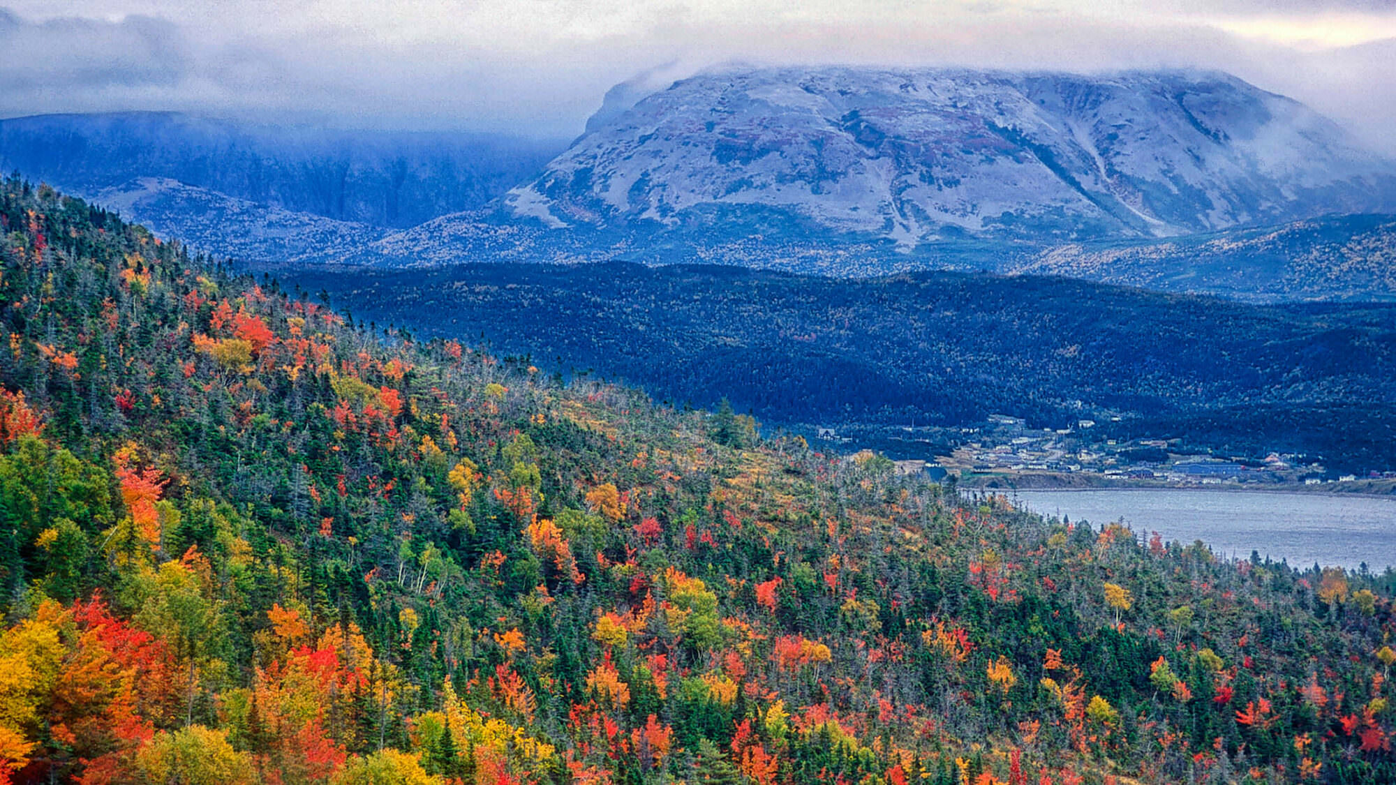 Why Are There No Snakes on the Island of Newfoundland? | Adventure Canada