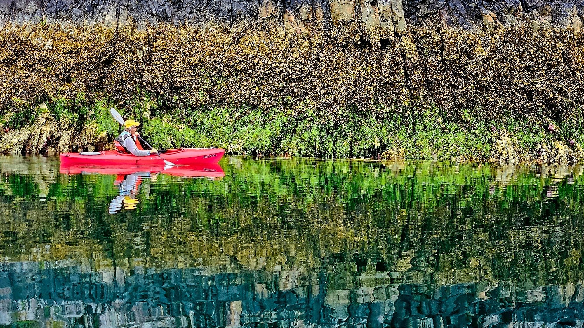 Haida Gwaii: Where Curiosity Meets Connection | Adventure Canada