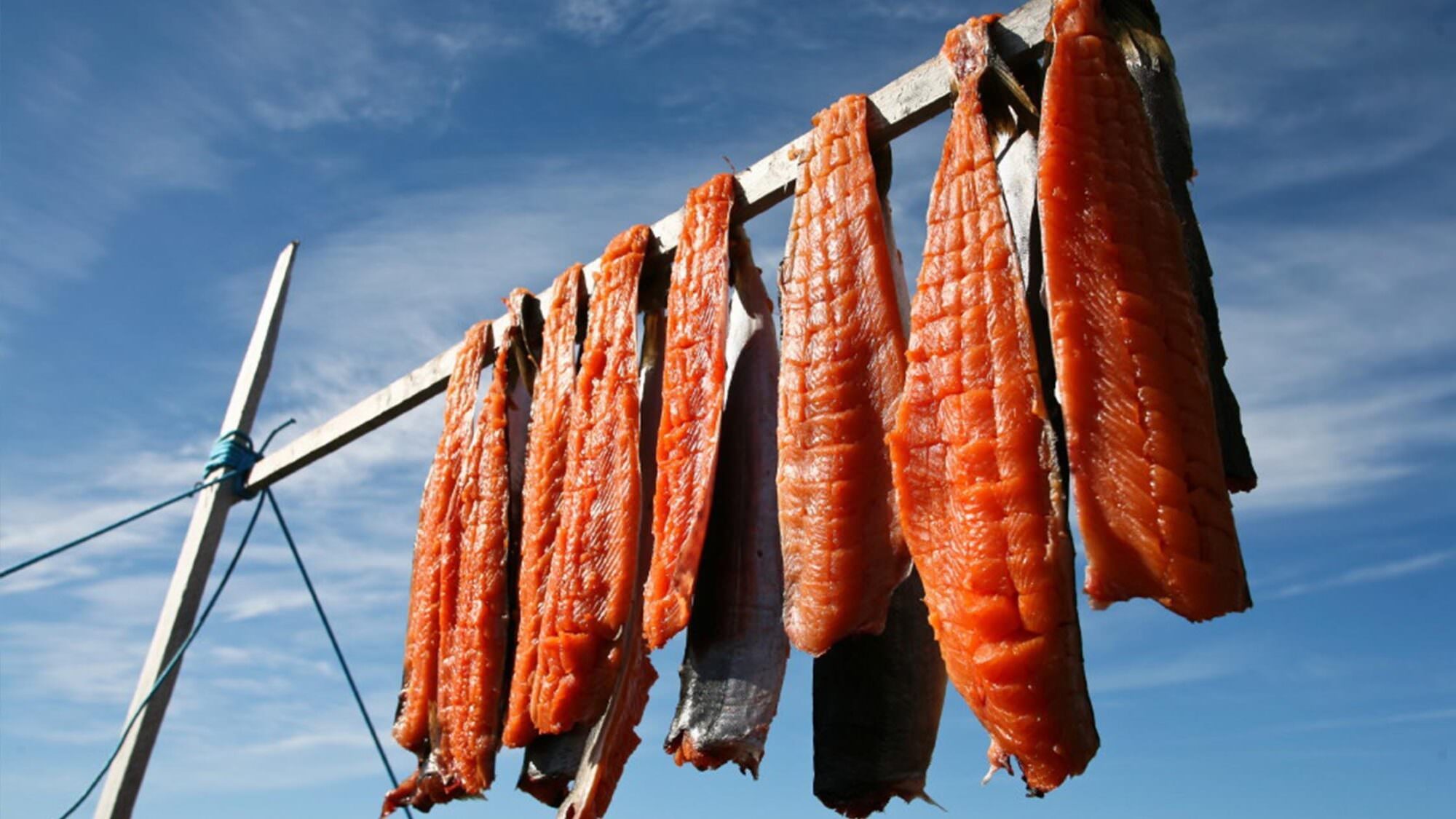 Six Arctic Foods & Beverages You Don't Want to Miss | Adventure Canada