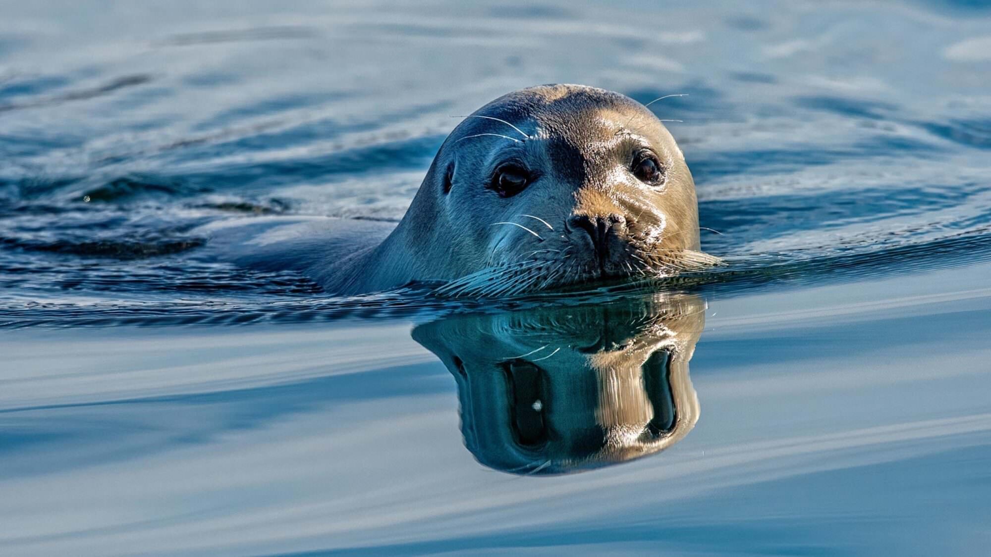 The Top Ten Splendours of Greenland & Wild Labrador | Adventure Canada