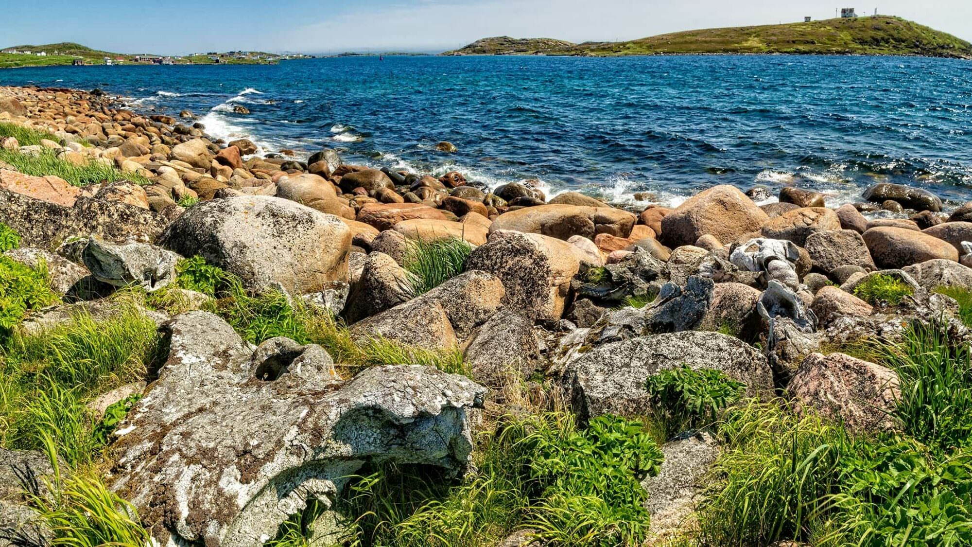 Red Bay, Apple Cider, Whaling, and the Basques | Adventure Canada