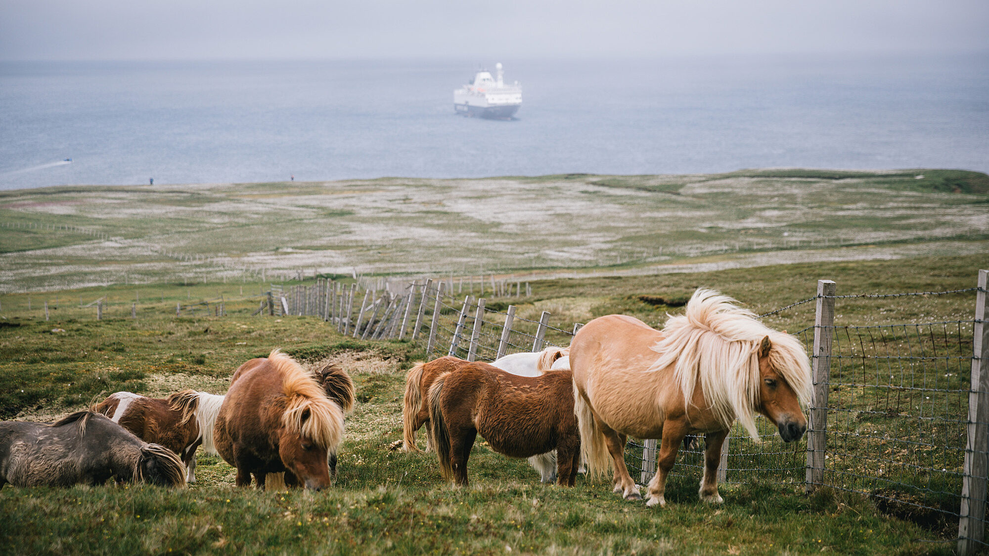 Five of the Best Scottish Isles Worth Visiting | Adventure Canada