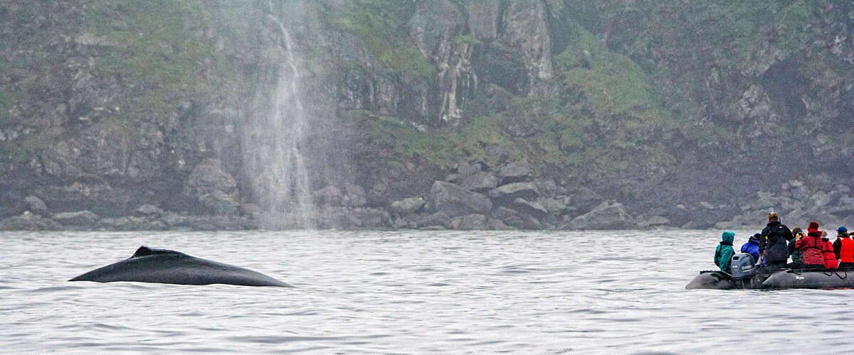 How to Have a Splash (While Staying Safe and Dry!) on a Zodiac ...