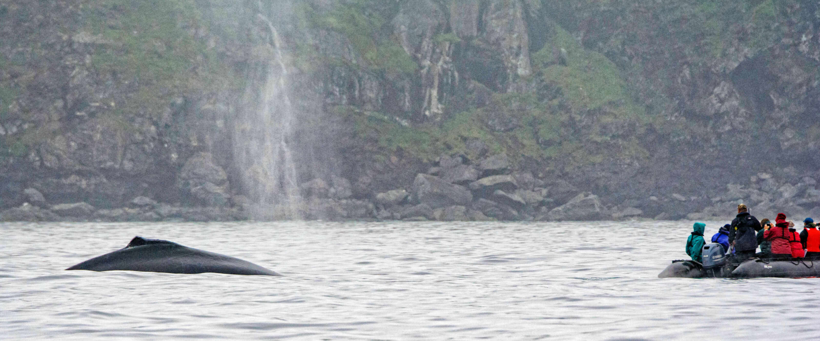 How to Have a Splash (While Staying Safe and Dry!) on a Zodiac ...