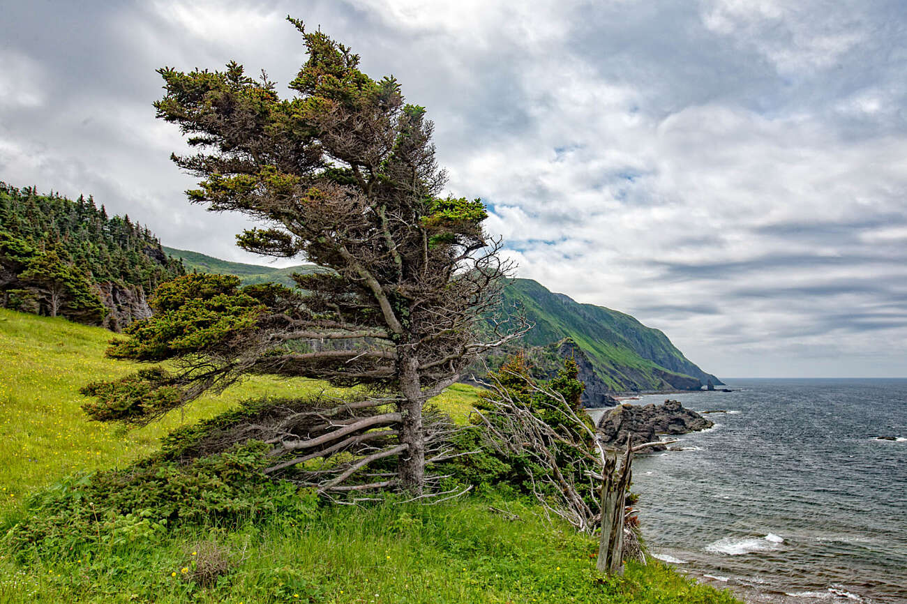 Gros Morne National Park: Where the Earth Tells Its Story | Adventure ...