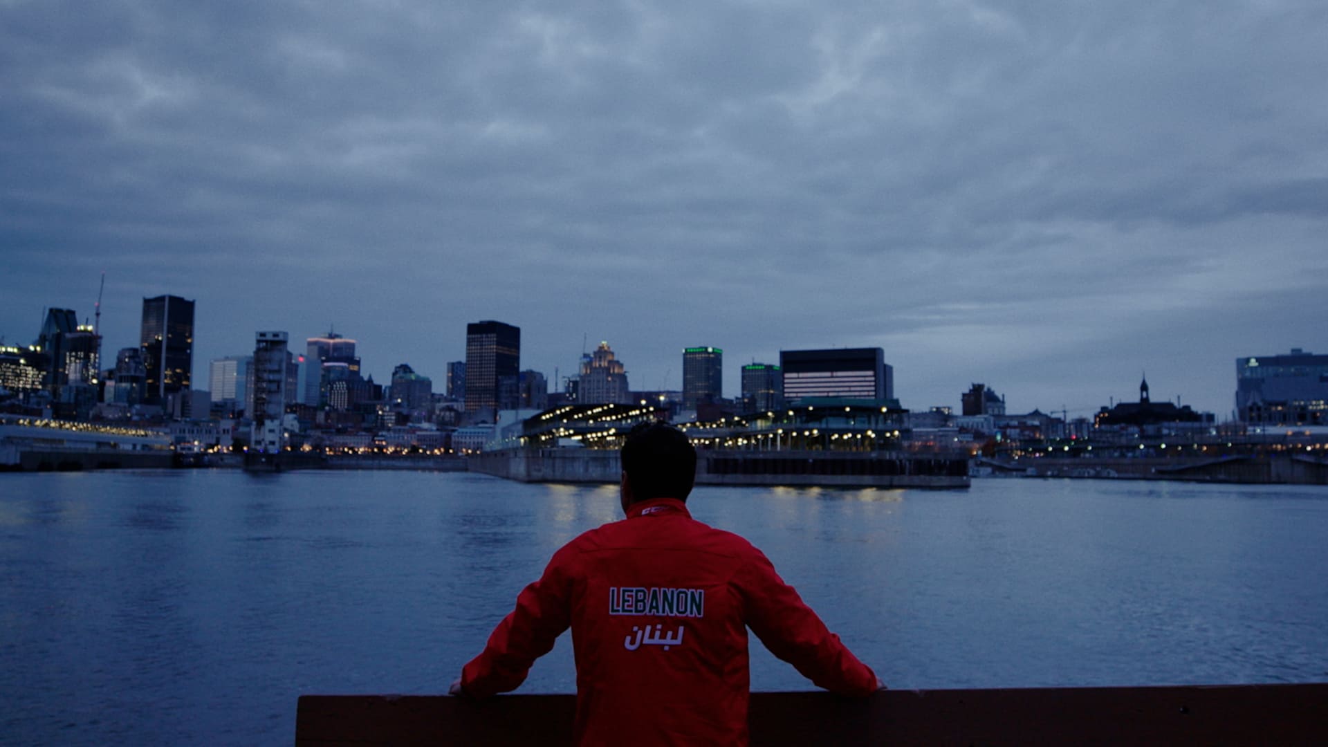 Les cèdres du Liban - Avanti Groupe