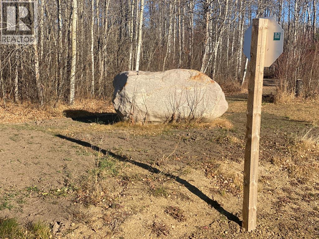 223 Range, Rural Northern Lights, County Of, AB - Land for Sale @ $92 ...