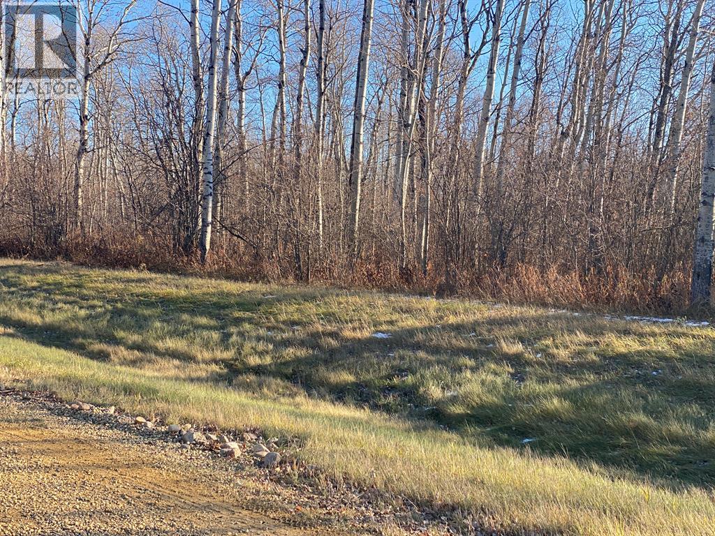 223 Range, Rural Northern Lights, County Of, AB - Land for Sale @ $90 ...