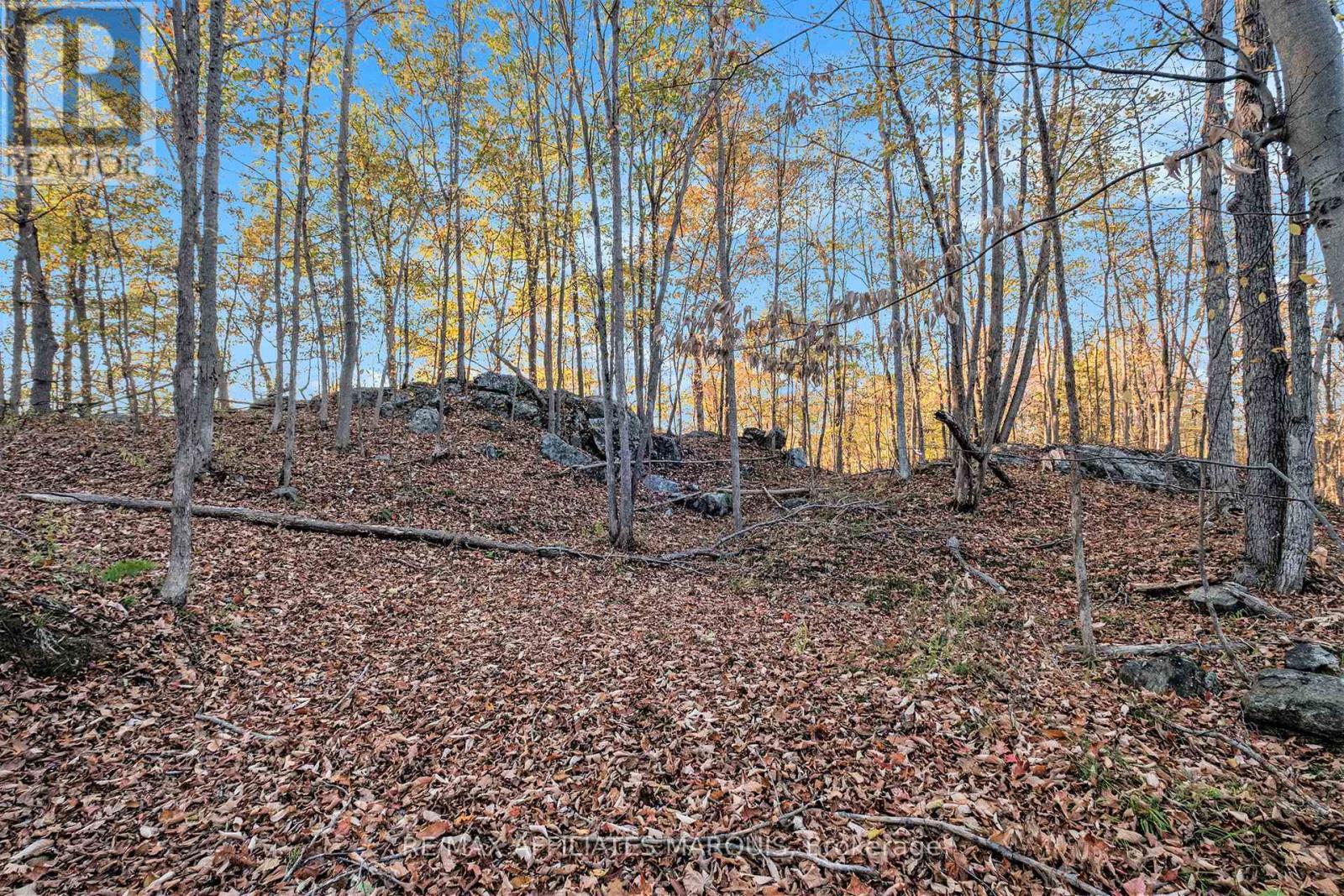 898 Christie Lk N Shr Road, Tay Valley, ON - Land for Sale @ $269.9K ...