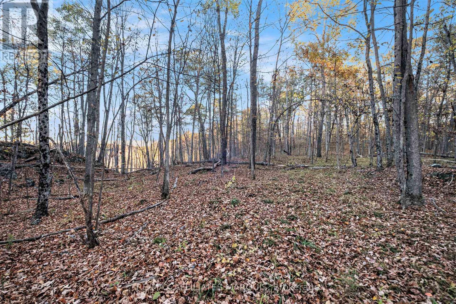 898 Christie Lk N Shr Road, Tay Valley, ON - Land for Sale @ $269.9K ...