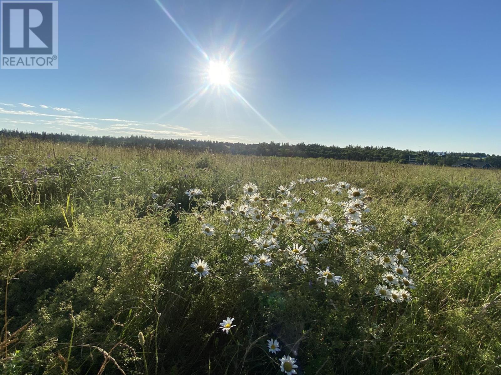 7 Rose Lane, Stanley Bridge, PE - Land for Sale @ $69.9K | SoldWell