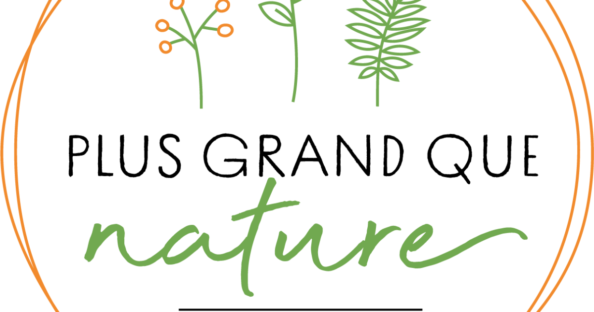 CPE Plus Grand que Nature | CSMO-ÉSAC