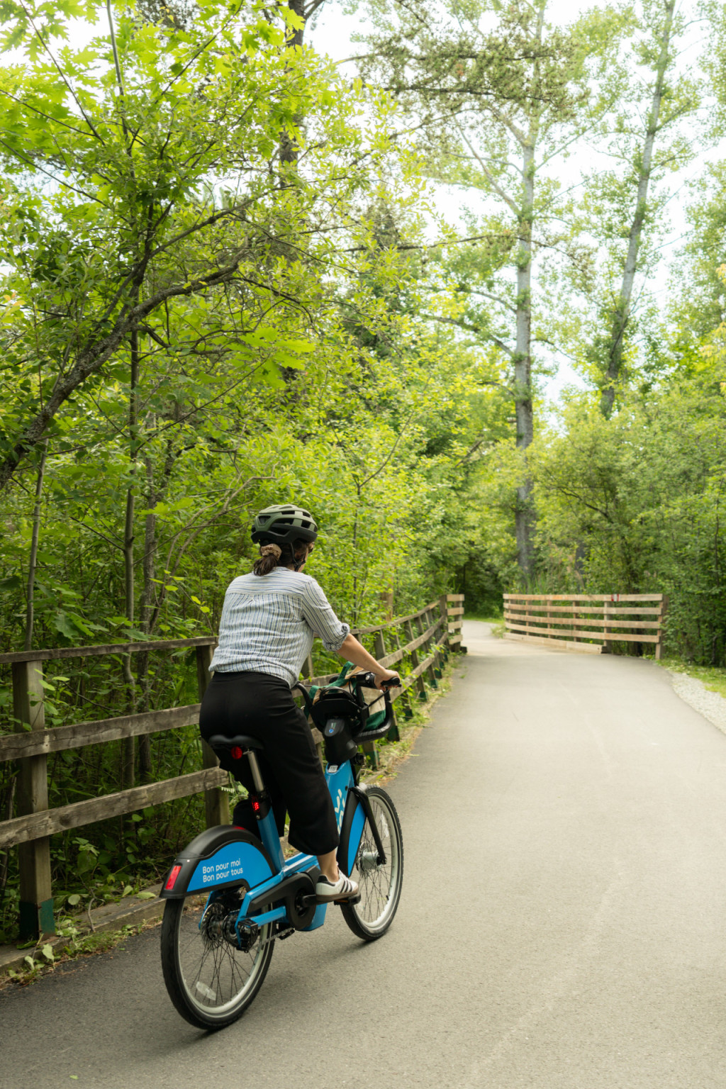 Location de vélo à Sherbrooke | BIXI Montréal