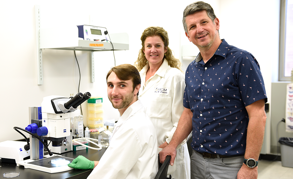 Comment nous voyons le monde en 3D - IRCM