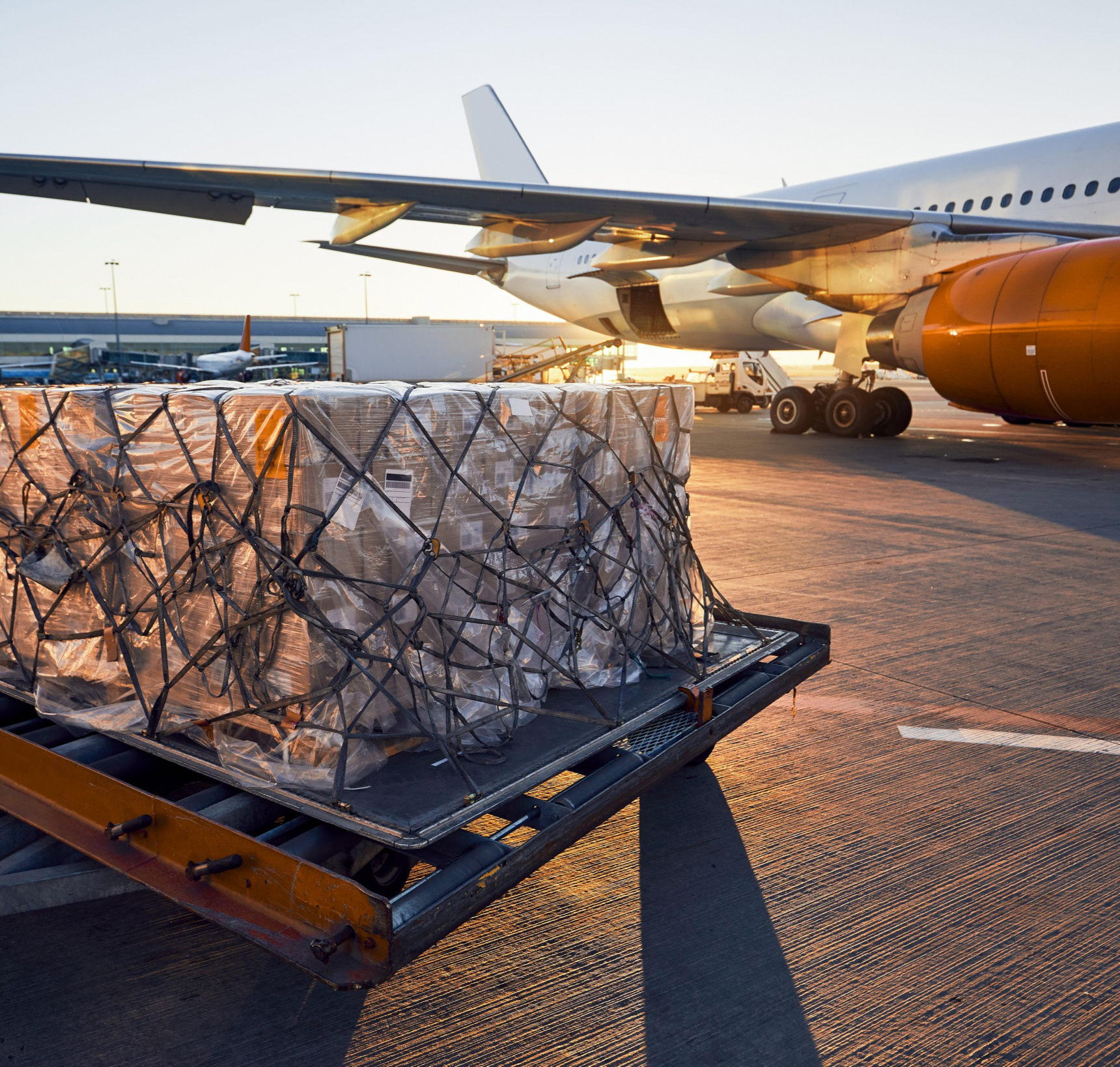 Air and Ocean Freight Shipping Services - Trans-Pro