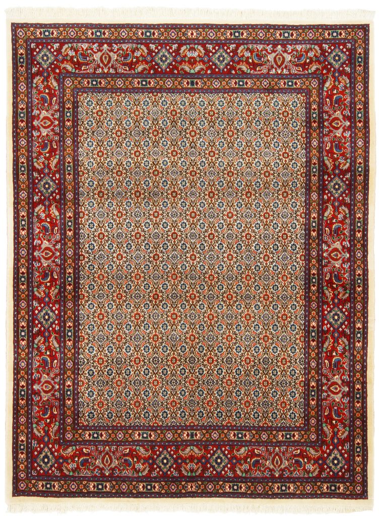 Persian Mood Mashad 5x7 Wool Area Rug | Turco Persian
