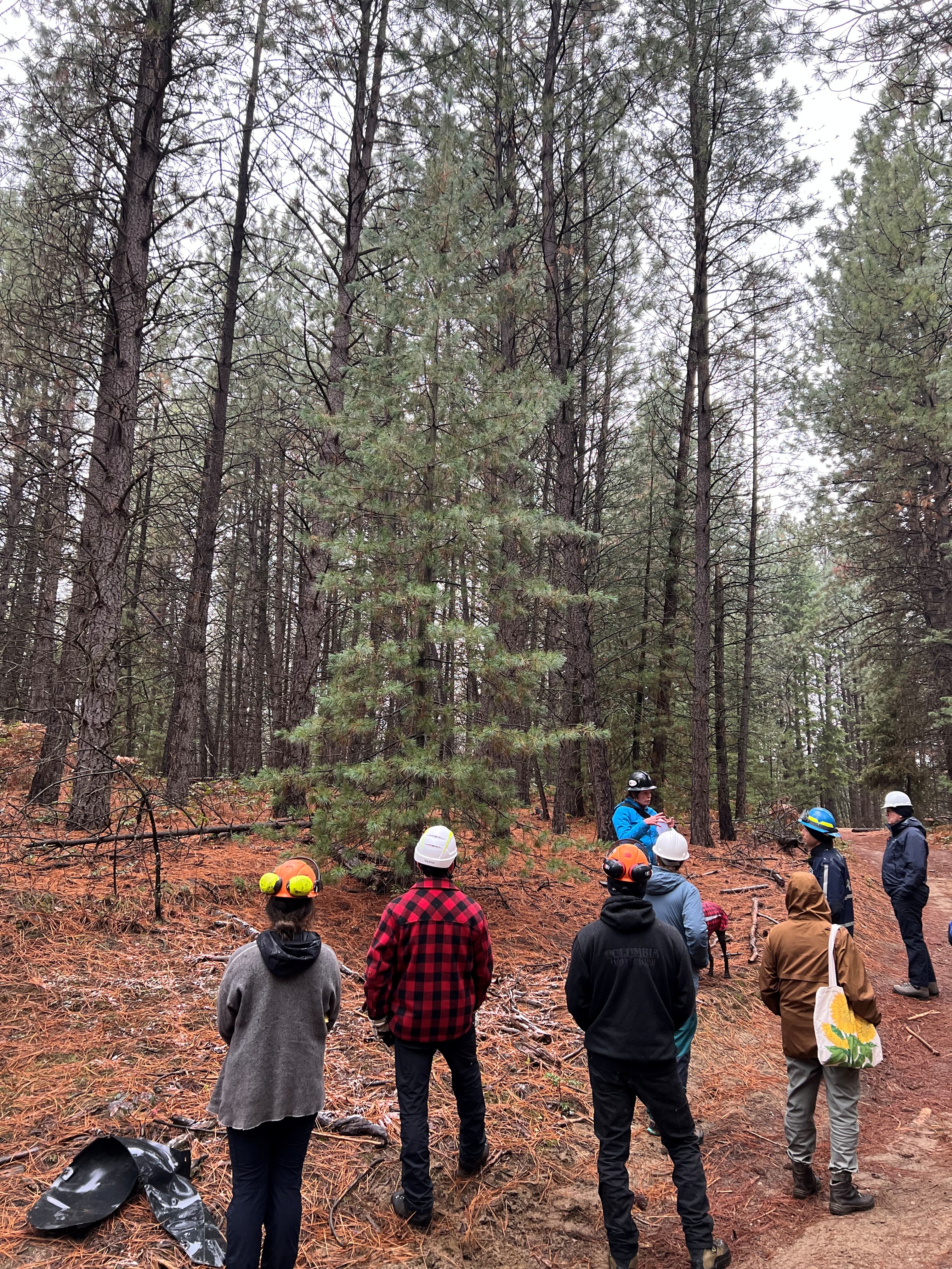 wildfire risk reduction | Regional District of Kootenay Boundary - Join ...