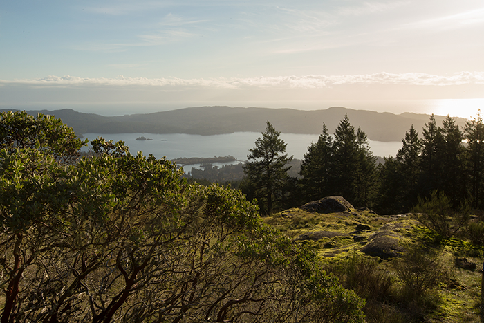 Stakeholder Engagement Summary | Regional Parks Strategic Plan Update ...
