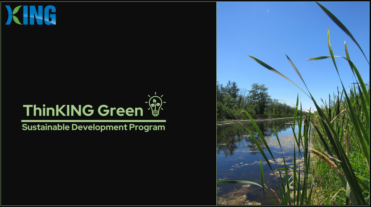 Exploring Incentive Opportunities for the ThinKING Green: Sustainable ...