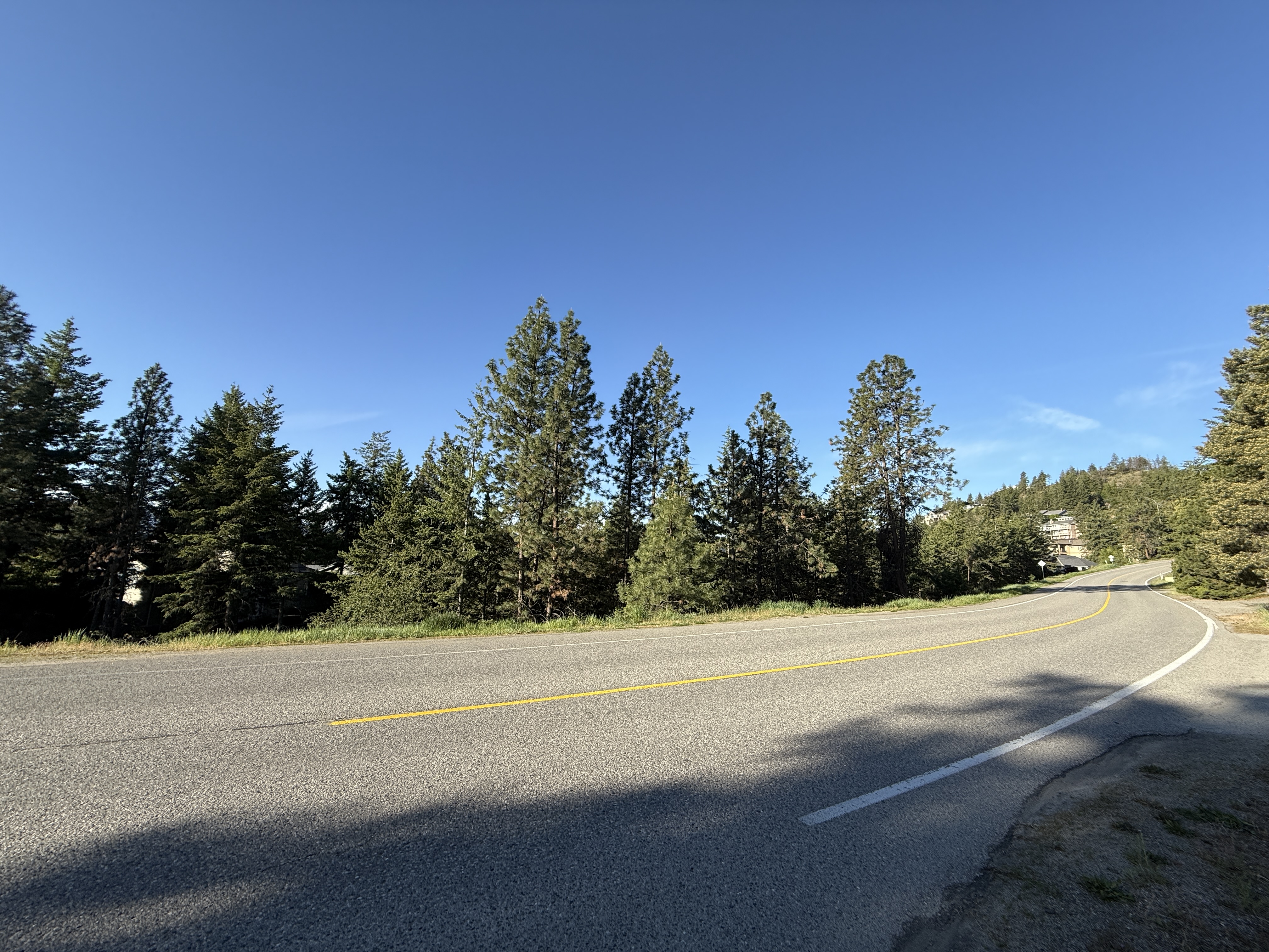 Project Update 2 - Wednesday, June 25, 2025 | Horizon Drive Active ...