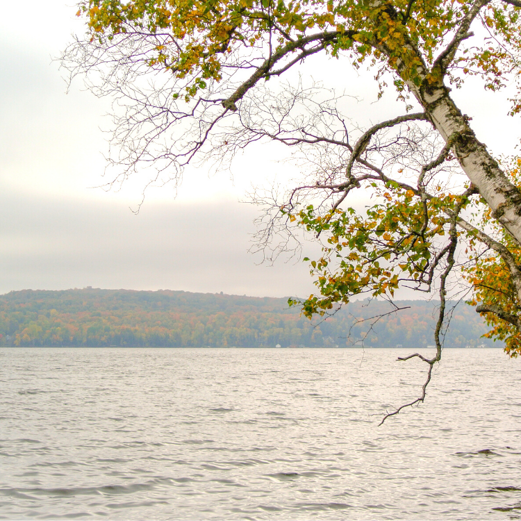 October 26th - Project Conclusion | Peninsula Lake Causation Study ...