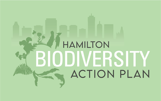 Kunming-Montreal Global Biodiversity Framework - 2030 Targets ...
