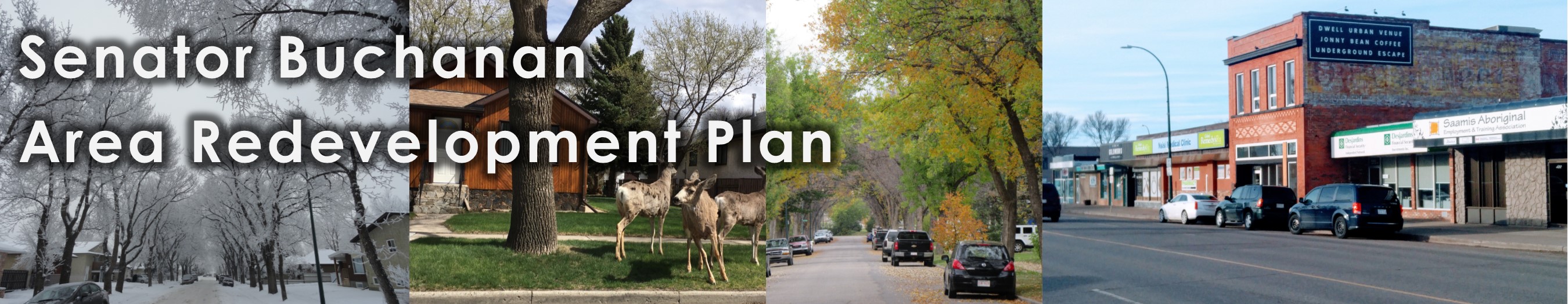 Senator Buchanan Area Redevelopment Plan | Get Involved Lethbridge