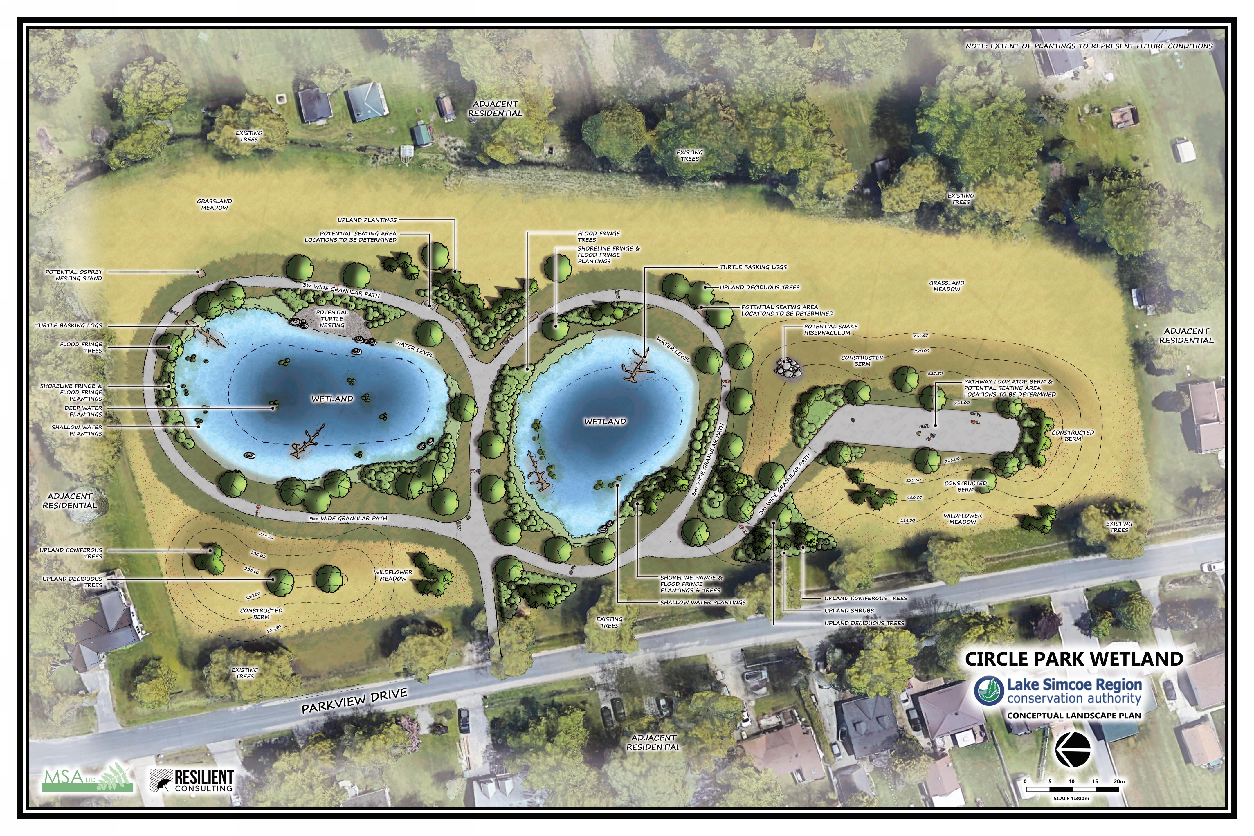 Circle Park Wetland | Get Involved Innisfil