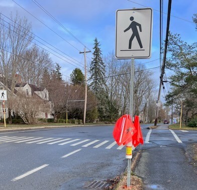 Crosswalk Flag Pilot Project | Wolfville Blooms