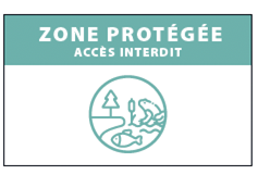 Exploration Campaign | Wasamac Consultations