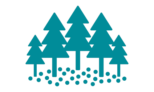 Long-Term Biosolids Management Plan | Get Involved CRD