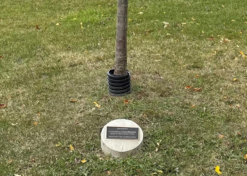 Tree and Bench Dedication Program | Connect Whitby