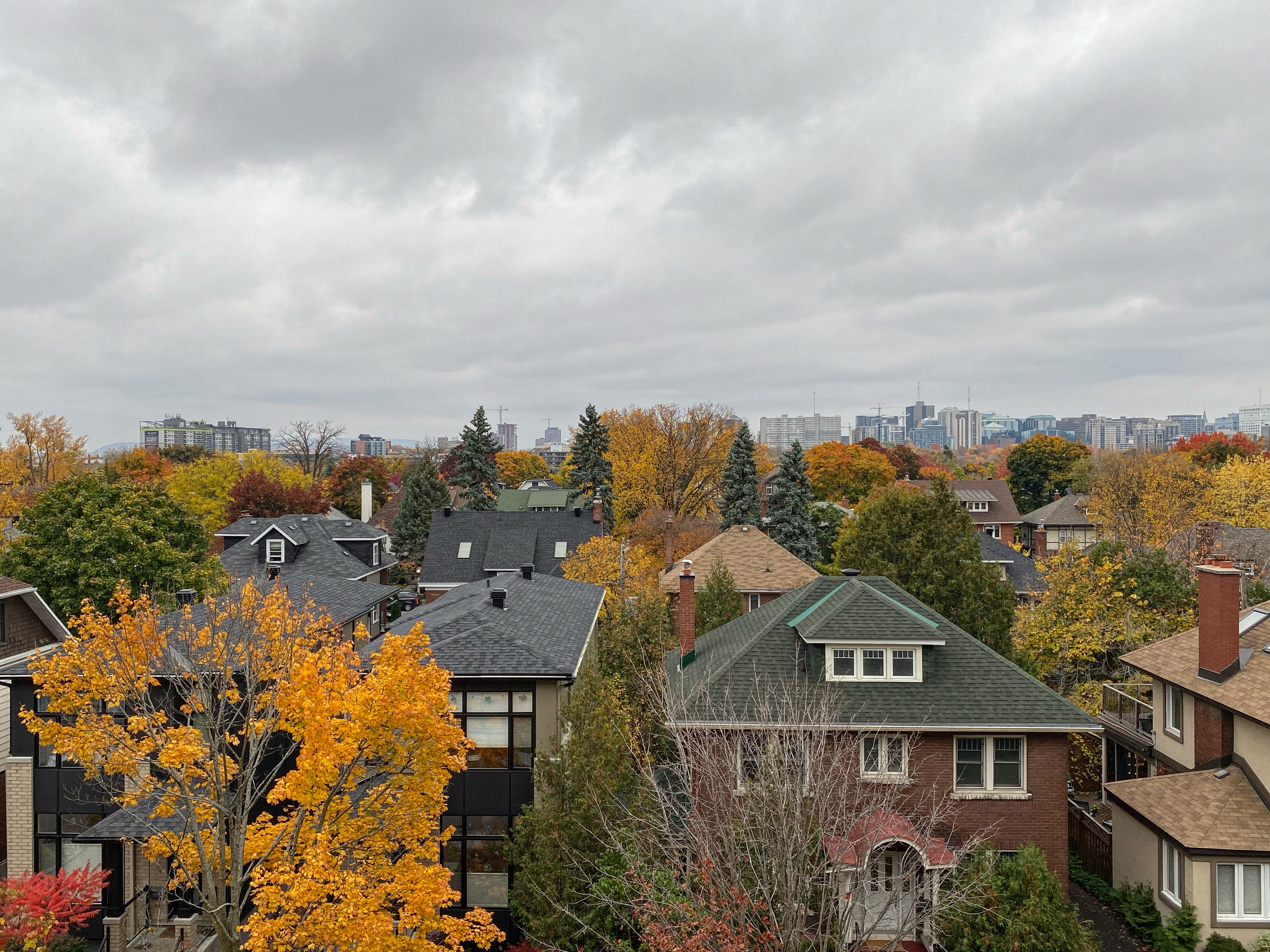 Current Tree Planting Programs | Tree Planting Strategy | Engage Ottawa