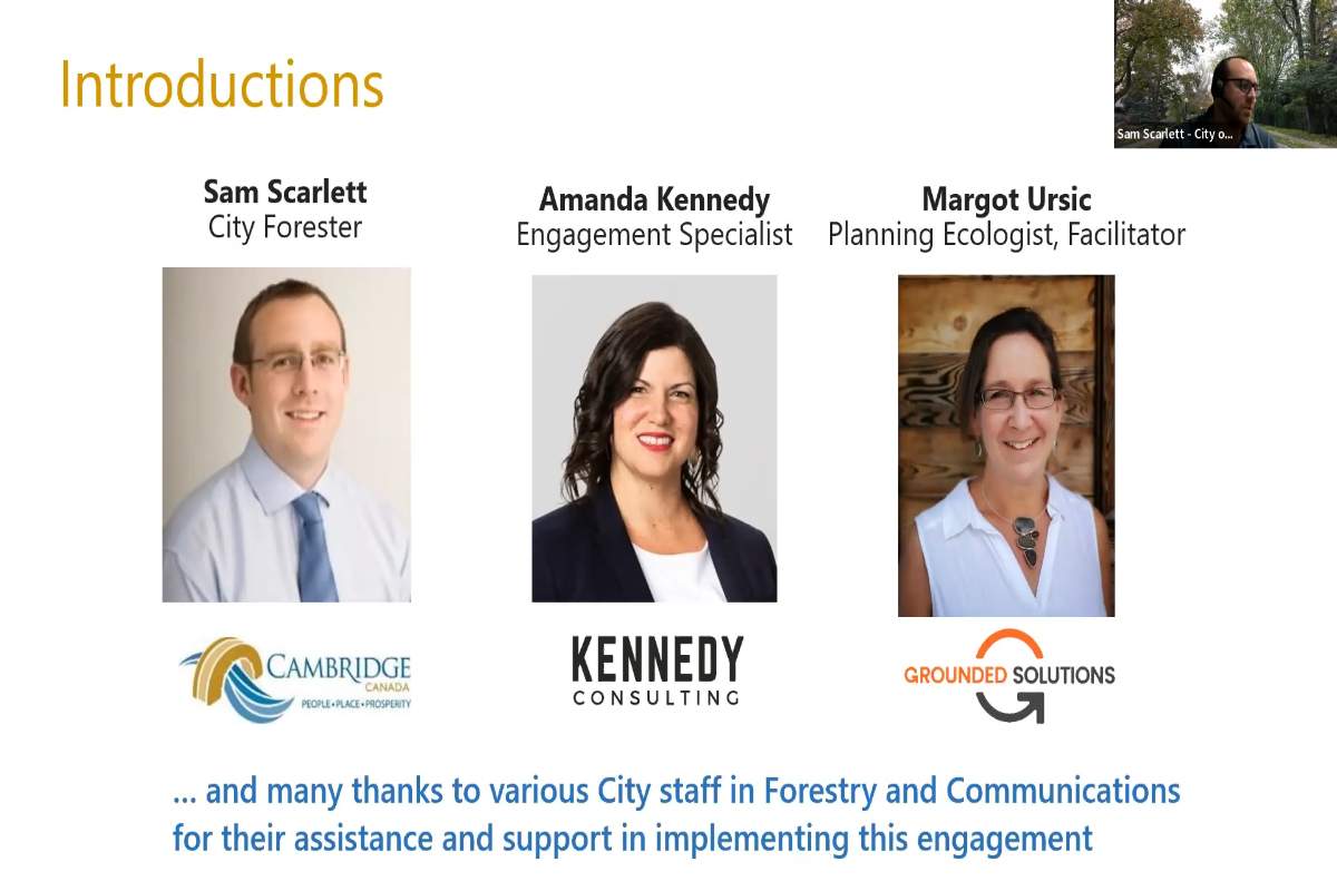 Private Tree By-law Public Engagement | EngageWR